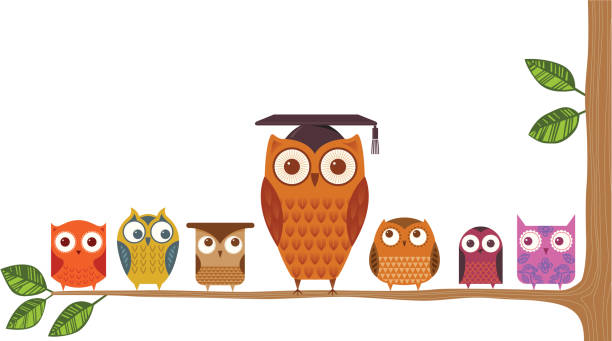 Owl Math Clip Art