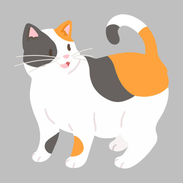[90] Calico cat Clipart Vector PNG , SVG, EPS, PSD, AI