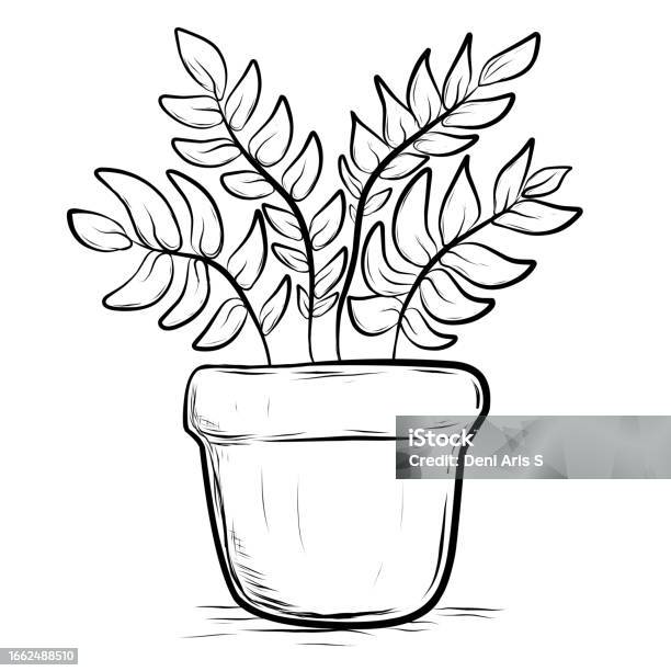 Tanaman Yang Digambar Tangan Di Pot Ilustrasi Sketsa Kaktus Latar