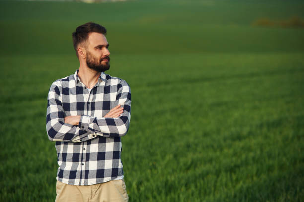 Free Stock Photo of Man Standing in Field With Beard | Download Free ...
