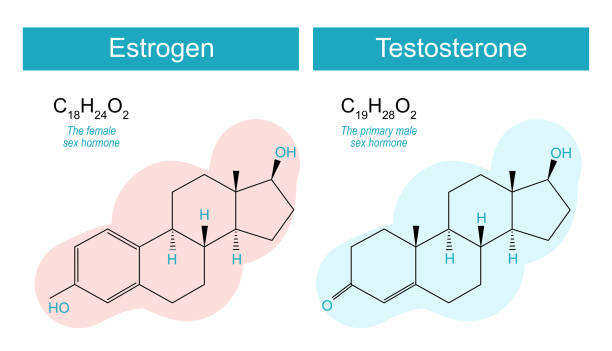 50 Testosterone Replacement Therapy Stock Illustrations Royalty Free Vector Graphics And Clip