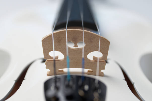 Free Stock Photo of Violin F Holes and Bridge | Download Free Images ...