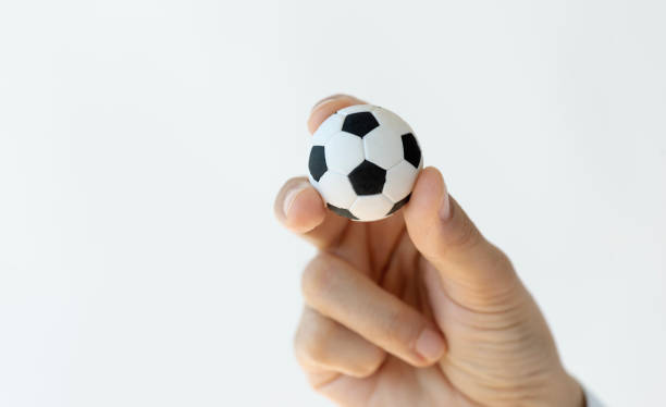 Free Stock Photo of Woman Holding Small Object in Hand | Download Free ...