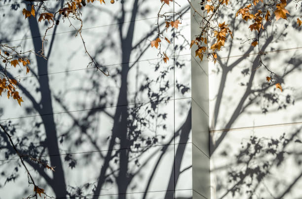 Free Stock Photo of Architectural shadow casting on corrugated facade ...