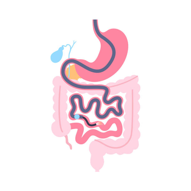 10+ Squeeze Balloon Stock Illustrations, Royalty-Free Vector Graphics ... 10+ Squeeze Balloon Stock Illustrations, Royalty-Free Vector Graphics ...