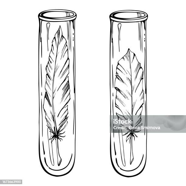 Tube À Essai En Verre Vectoriel Dencre Dessiné À La Main Avec Plume