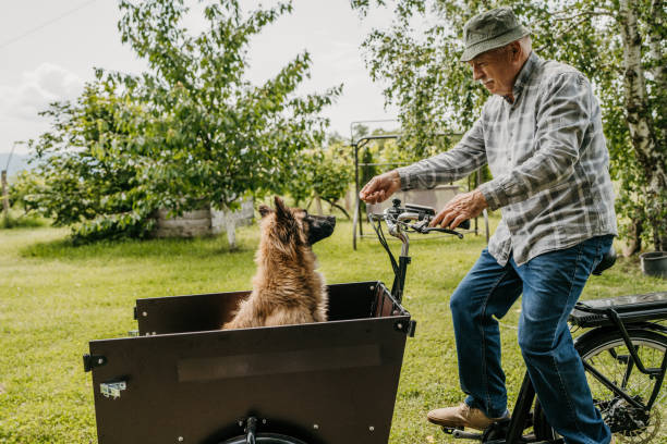 Free Stock Photo of Man Riding Bike Alongside Herd of Dogs | Download ...