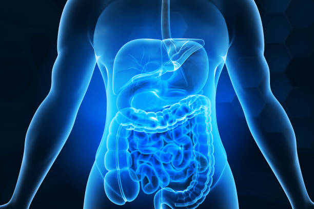9,000+ Free Digestive System & Solar System Images - Pixabay