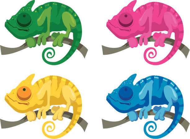 Free download of camaleon vector graphics and illustrations