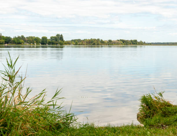 Free picture: July weather at lakeside with blue sky reflection