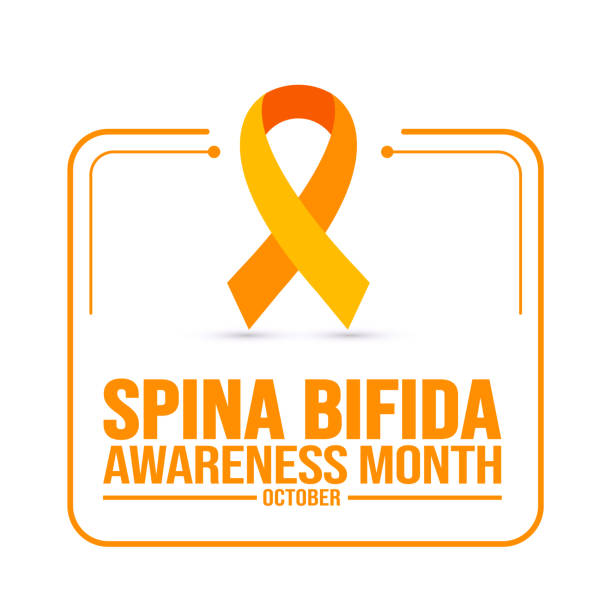 40 Spina Bifida Stock Illustrations Royalty Free Vector Graphics