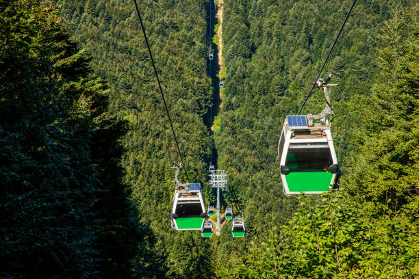 Free Stock Photo of Aerial cable cars over lush green forest | Download ...