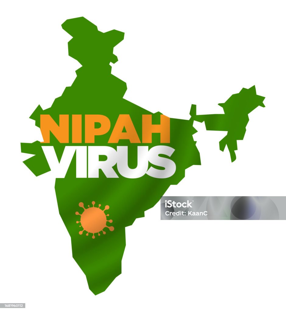 Nipah Virus Template Design Vector Stock Illustration Stock