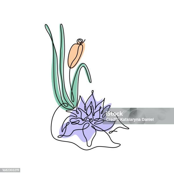 Gaya Seni Garis Menggambar Bunga Lily Air Dan Buluh Gambar Tanaman