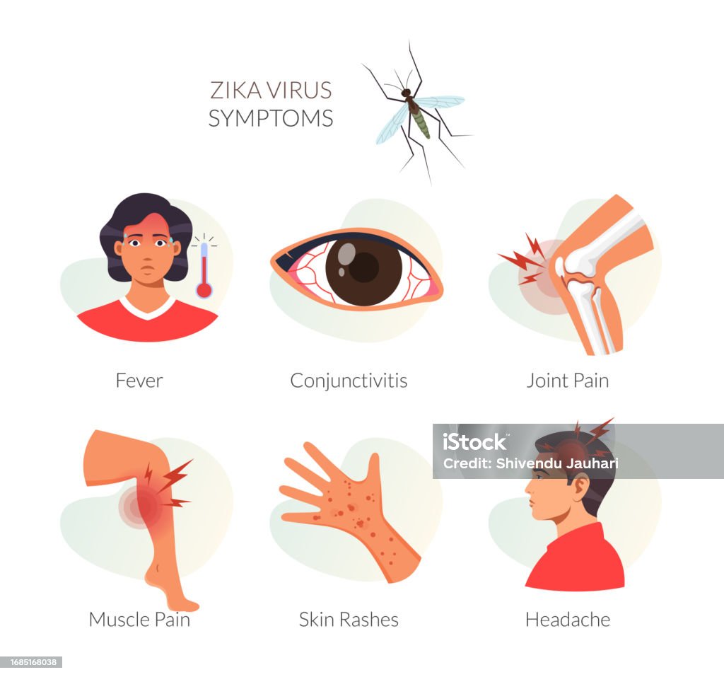 Illustrated Zika Virus Symptoms Stock Icon Stock Illustration ... Illustrated Zika Virus Symptoms Stock Icon Stock Illustration ...