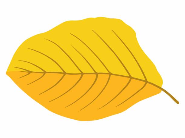 Yellow Leaf Clip Art
