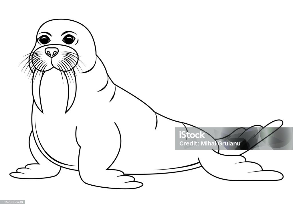 Vektor Karakter Kartun Walrus Hitam Dan Putih Halaman Mewarnai Kartun ... Vektor Karakter Kartun Walrus Hitam Dan Putih Halaman Mewarnai Kartun ...