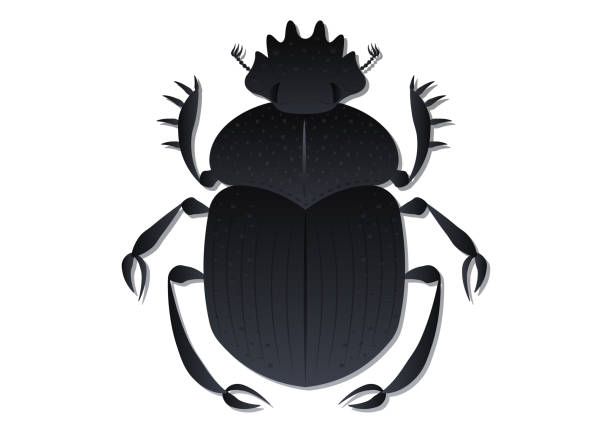 Scarab tattoo Clipart Vector PNG , SVG, EPS, PSD, AI