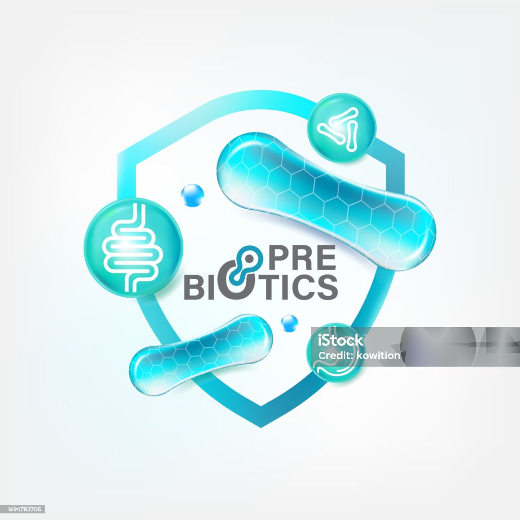 Prebiotic Foods Good Bacteria Vector Illustration Stock Illustration