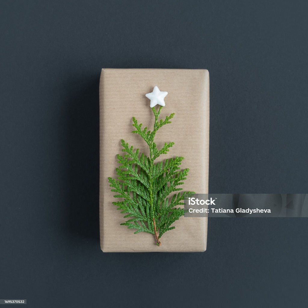 Pohon Natal Terbuat Dari Setangkai Thuja Dekorasi Pada Hadiah Tampilan ... Pohon Natal Terbuat Dari Setangkai Thuja Dekorasi Pada Hadiah Tampilan ...