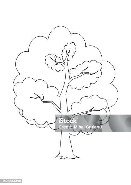 Vecteur Clipart Darbre Noir Et Blanc Isolé Sur Fond Blanc Coloriage