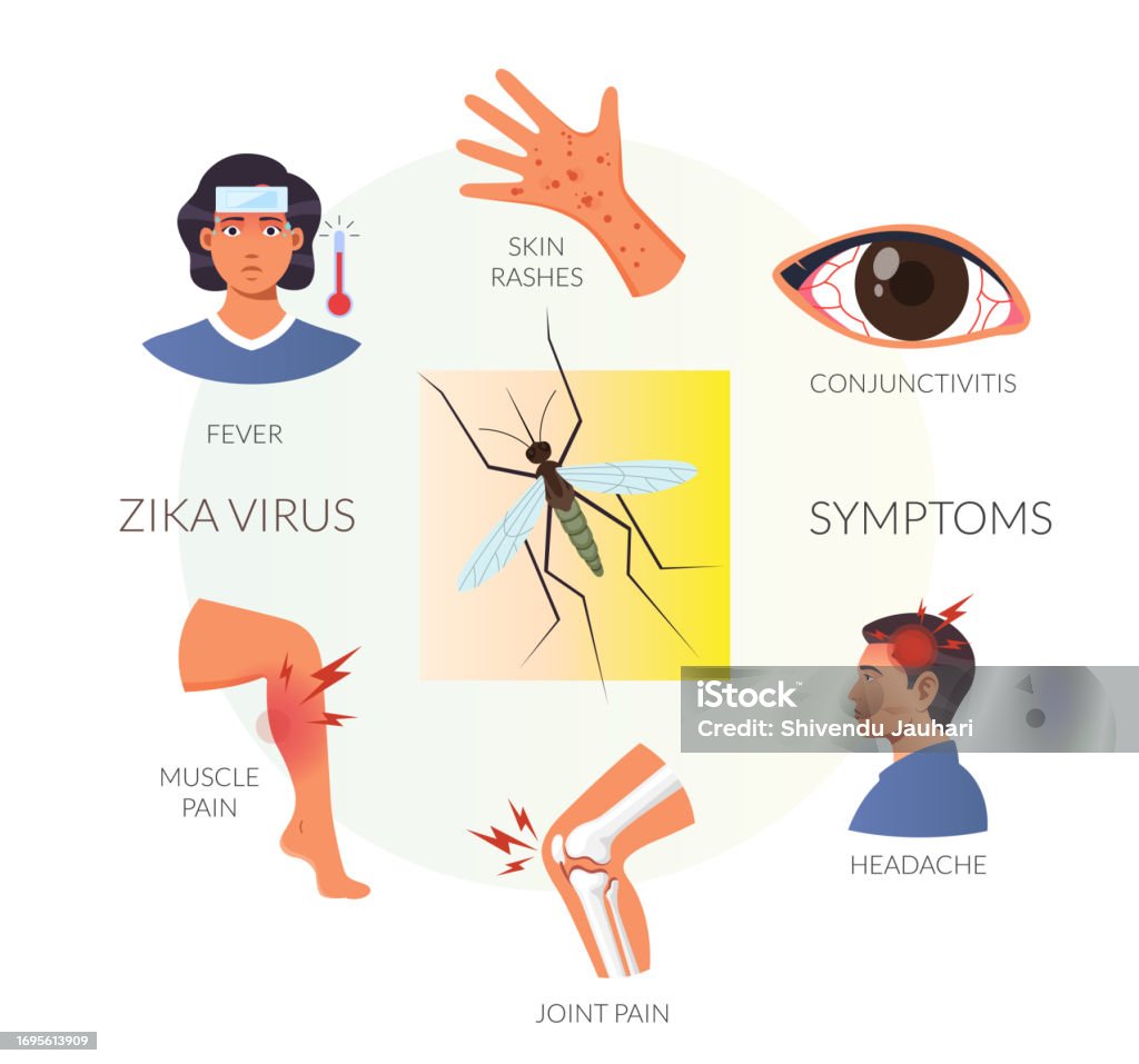 Illustrated Zika Virus Symptoms Stock Icon Stock Illustration ... Illustrated Zika Virus Symptoms Stock Icon Stock Illustration ...