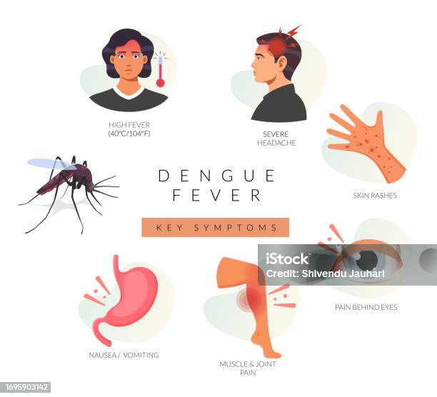 Dengue Fever Key Symptoms Stock Illustration Stock Illustration ... Dengue Fever Key Symptoms Stock Illustration Stock Illustration ...