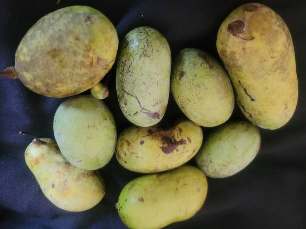 Free picture: pawpaw, fruit, sliced