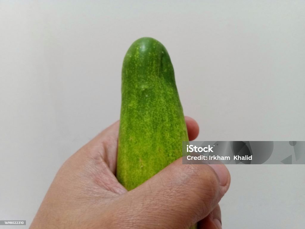 Photo With The Theme Of The Pose Of A Hand Holding A Cucumber Stock