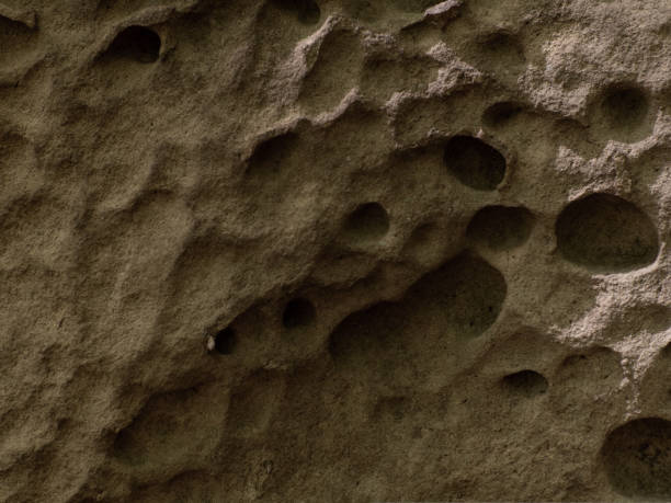 Free picture: Close up of a beige stone texture with many holes