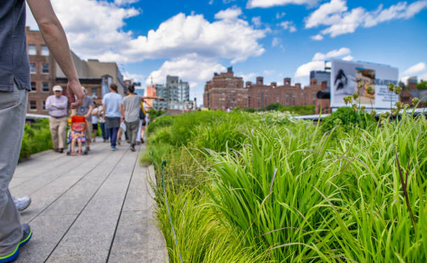 Free Stock Photo of High Line View Free Stock Photo | Download Free ...