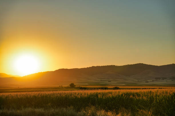 Free Stock Photo of Sun Shining Over Field With Mountains in Background ...