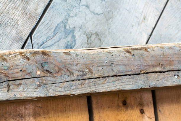 Free picture: Cross section of oak wooden plank knot