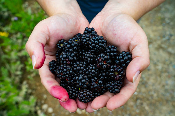 Free handpicked stock photos. Download the best free handpicked images ...