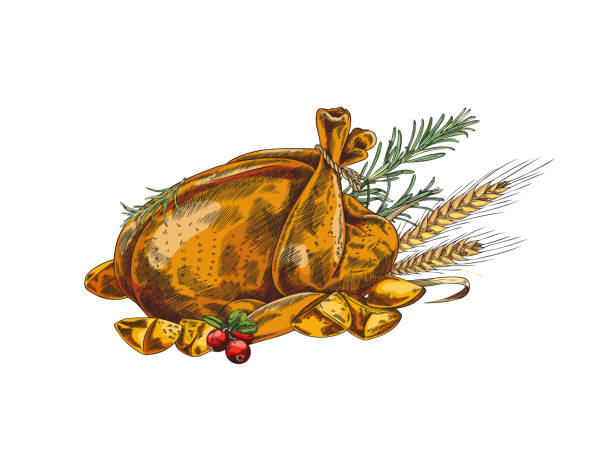 260 Dessin Poulet Roti Stock Illustrations Graphiques Vectoriels