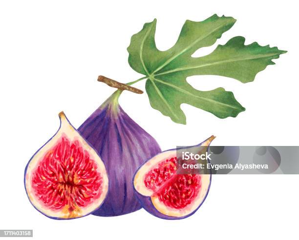 Komposisi Buah Buah Ara Ungu Dengan Daun Dan Potongan Buah Untuk