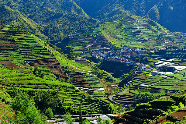 Dieng Pictures | Download Free Images on Unsplash