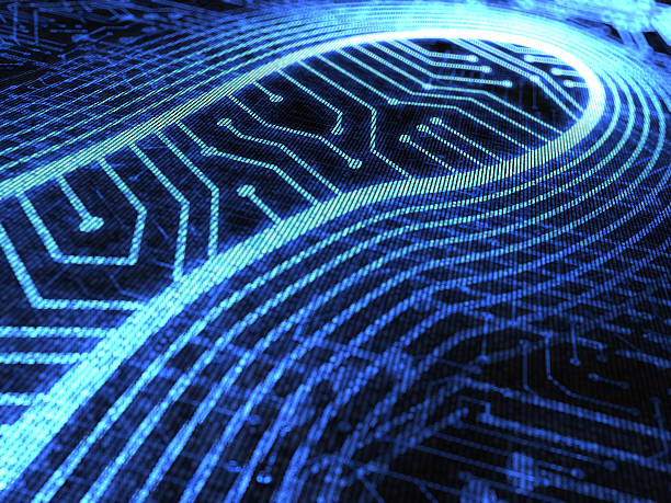 Digital Footprint Pictures | Download Free Images on Unsplash