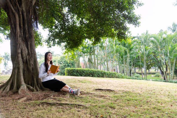 Free Stock Photo of Person Reading Book Under Tree | Download Free ...