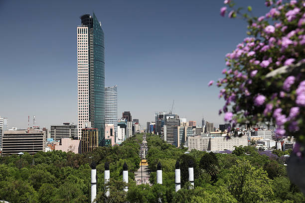 Reforma Pictures | Download Free Images on Unsplash