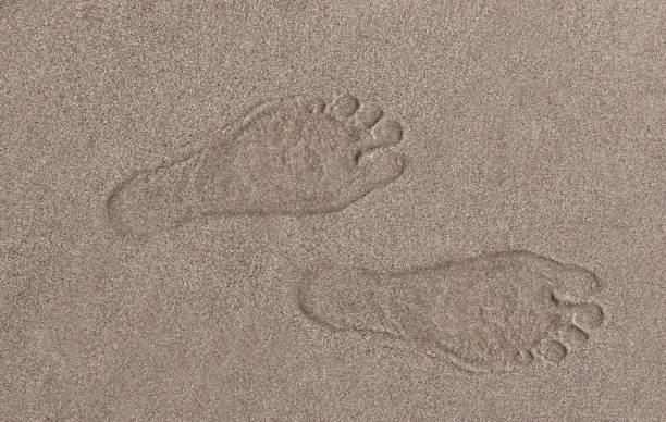 Free picture: footprints, barefoot, feet, texture, photomontage ...