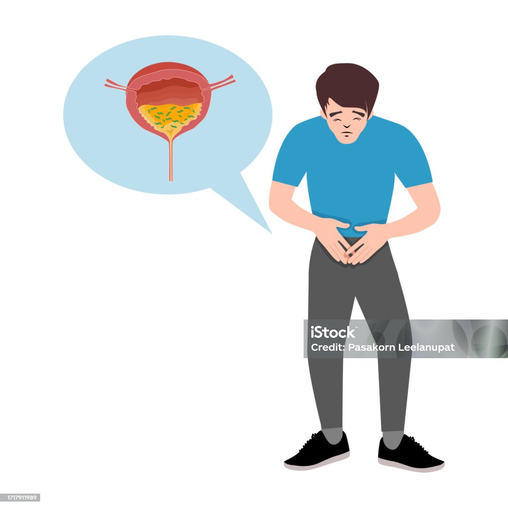 A Bladder Infection Is An Illness Caused By Bacteria Bladder Infections Are The Most Common Type