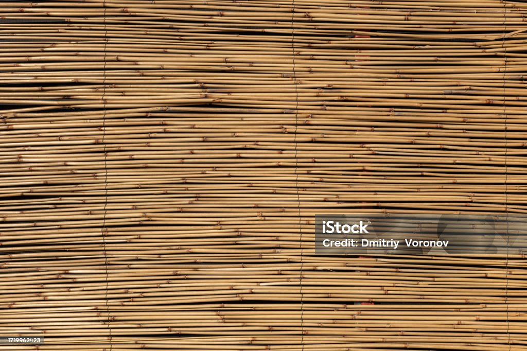 Bahan Granular Kayu Solid Dengan Permukaan Struktural Untuk Tekstur ... Bahan Granular Kayu Solid Dengan Permukaan Struktural Untuk Tekstur ...