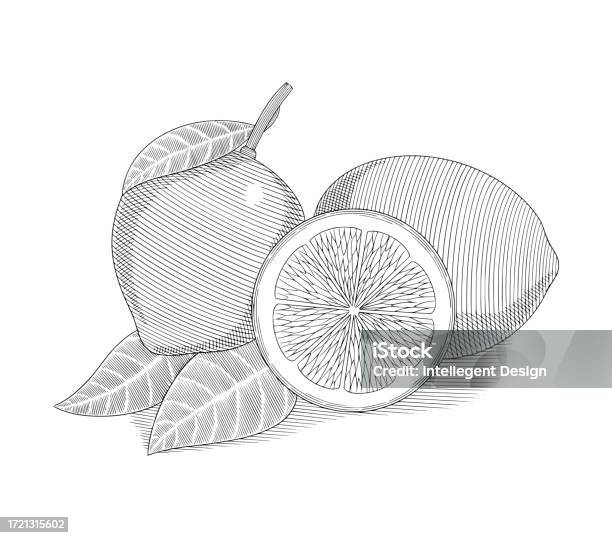 Buah Lemon Potongan Utuh Dan Irisan Setengah Dan Daun Ilustrasi Vektor