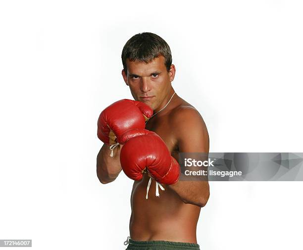Boxer 세로는 공격성에 대한 스톡 사진 및 기타 이미지 공격성 권투 선수 권투 스포츠 Istock