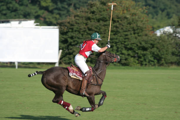 Polo Sport Pictures | Download Free Images on Unsplash