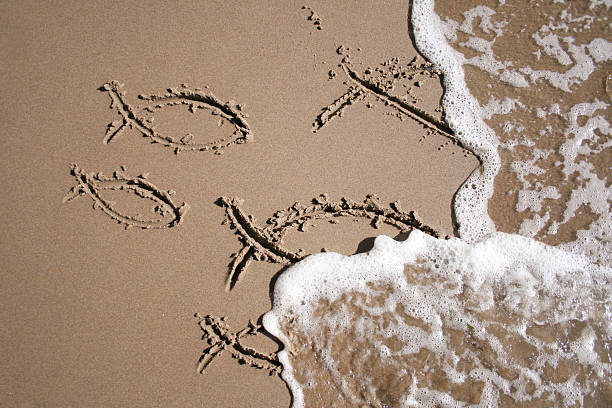20,000+ Free Cartoon Fish & Fish Images - Pixabay