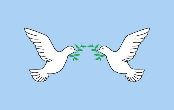 Free Dove Vector Art and Graphics for Download | 200+ Vectors Available ...