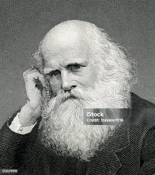 William Cullen Bryant 19세기에 대한 스톡 벡터 아트 및 기타 이미지 19세기 19세기 스타일 검은색