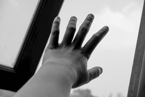 Free Stock Photo of Hand Reaching Out of Window | Download Free Images ...